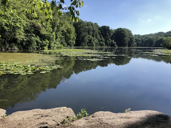Van Cortlandt Park Alliance | Explorable Places