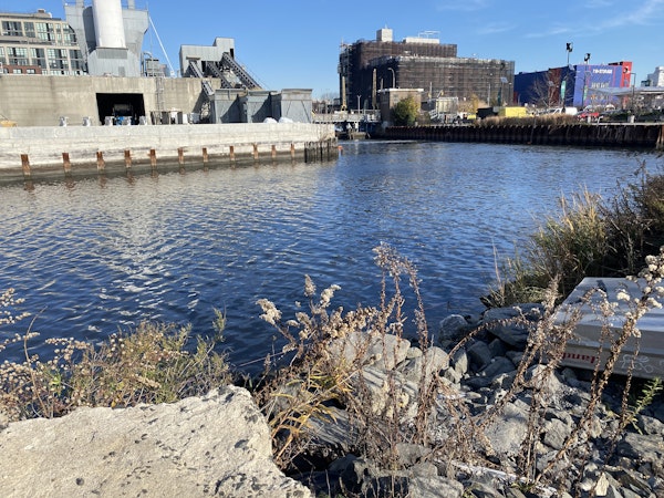 Gowanus Canal Conservancy | Explorable Places