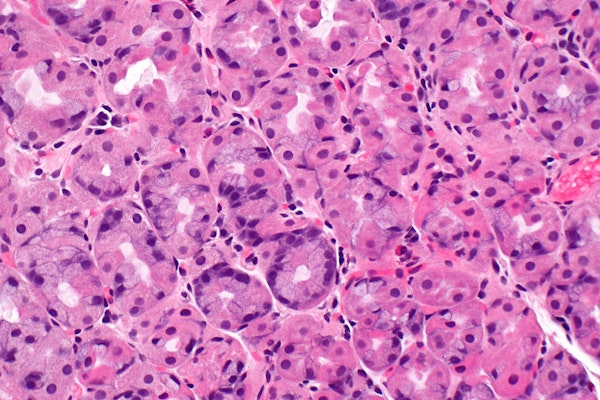 Harlem DNA Lab | Explorable Places